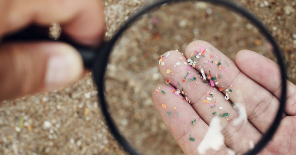 Dangers of Microplastics in Humans, Food, and the Environment