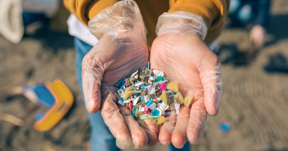 Dangers of Microplastics in Humans, Food, and the Environment
